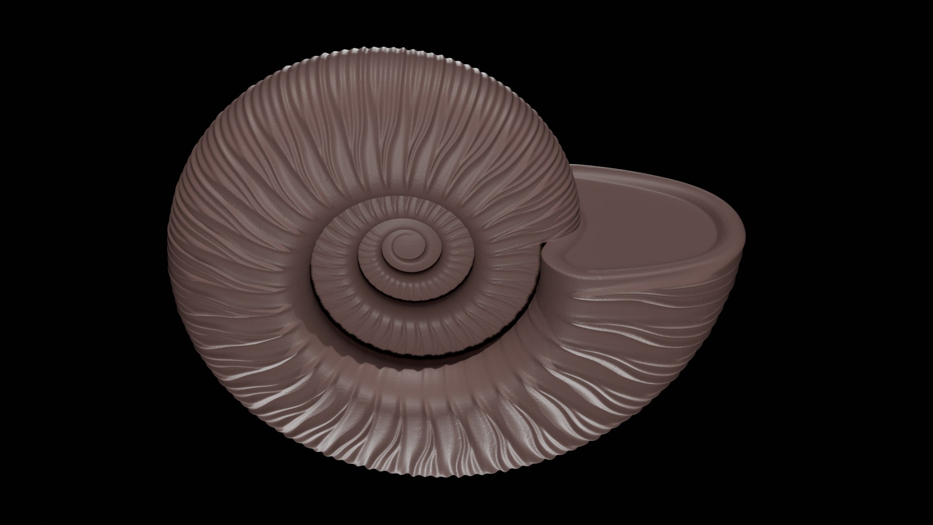3D Ammonoid Shell With Virgatotome Ribs - TurboSquid 2296644