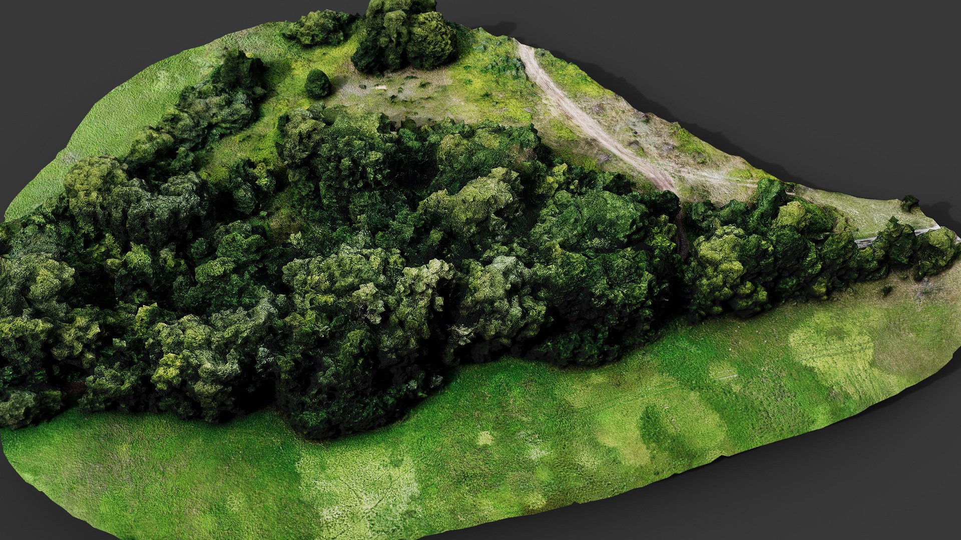 Trees Terrain Forest Fields Landscape Dronescan Part4 3D Model ...