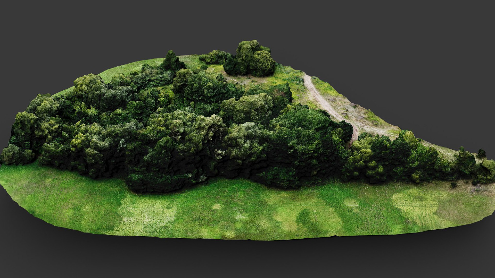 Trees Terrain Forest Fields Landscape Dronescan Part4 3D Model ...