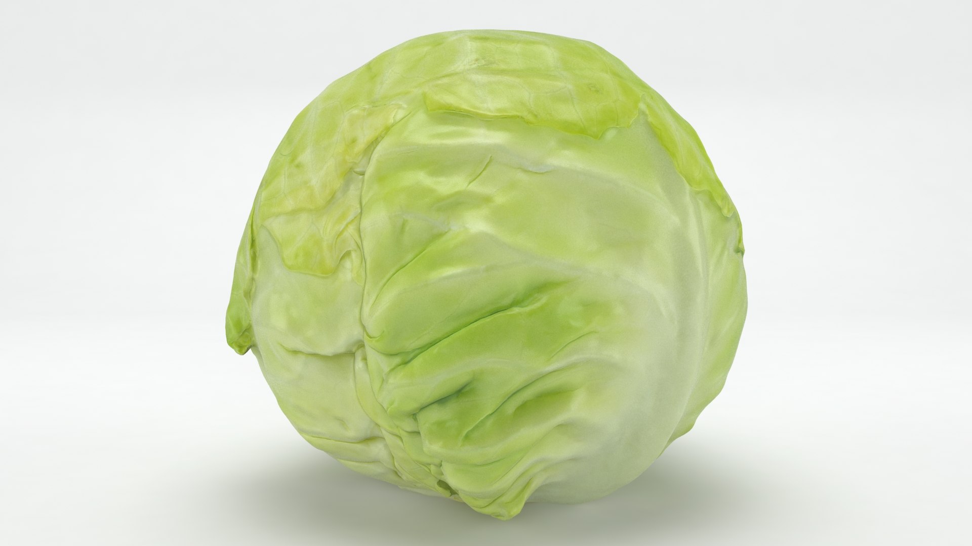 3D Whole Cabbage Model - TurboSquid 1849960
