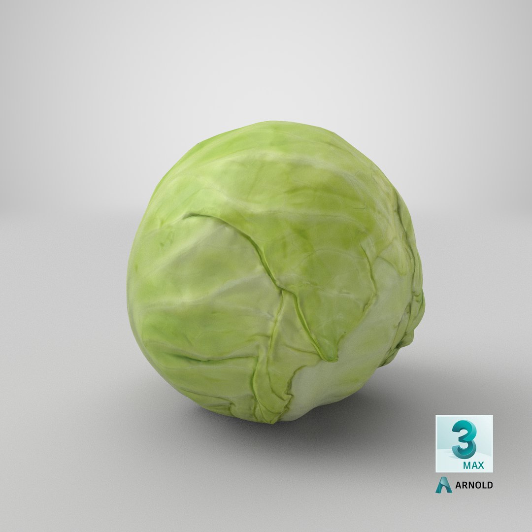 3D Whole Cabbage model - TurboSquid 1849960
