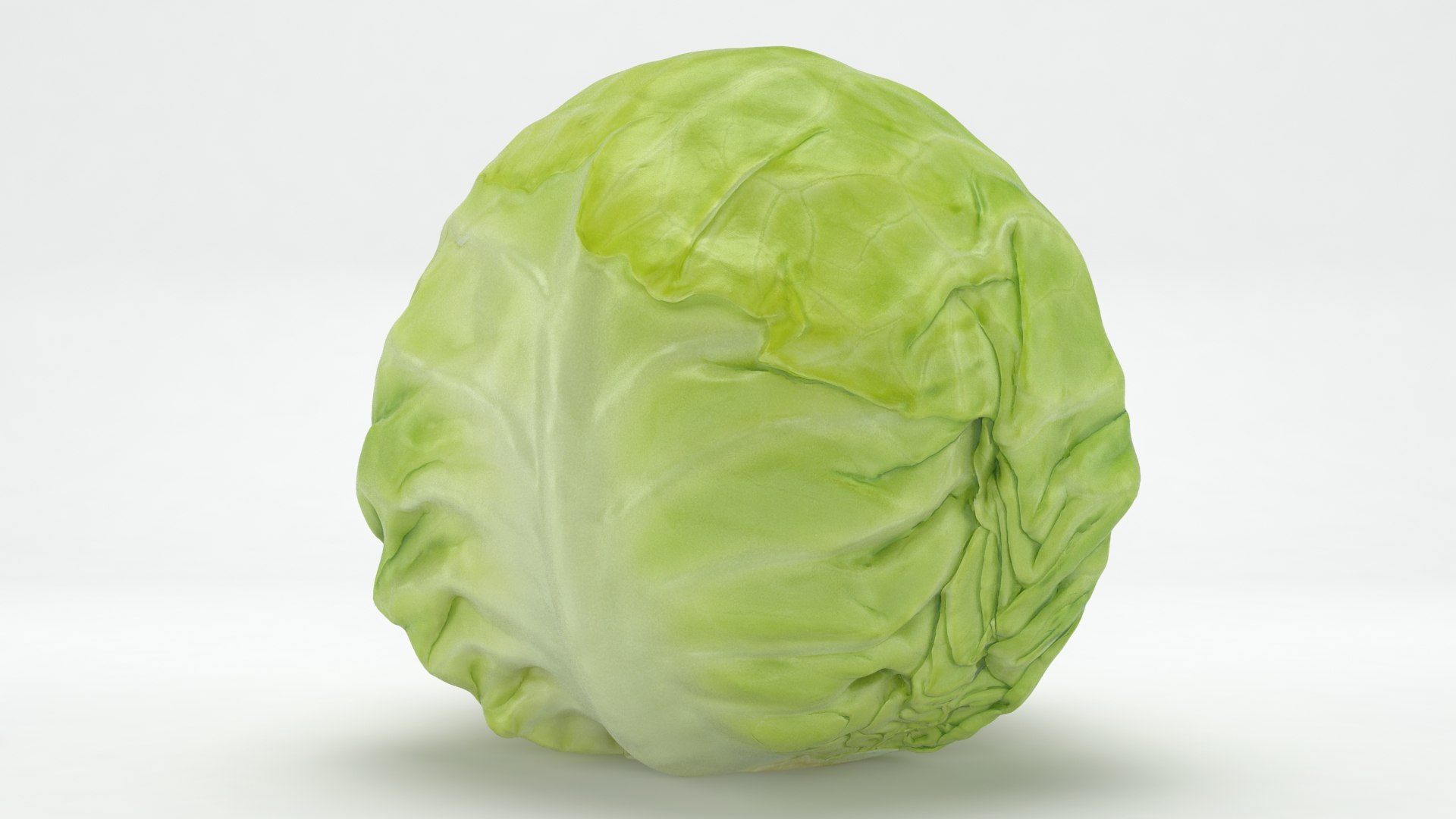 3D Whole Cabbage Model - TurboSquid 1849960