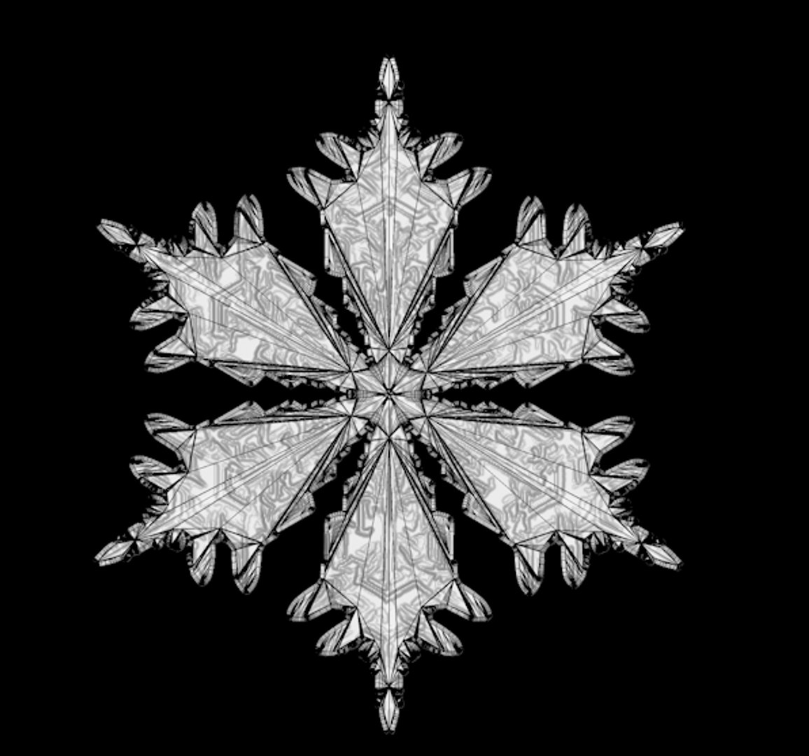 3d Snowflake Snow Flake Model