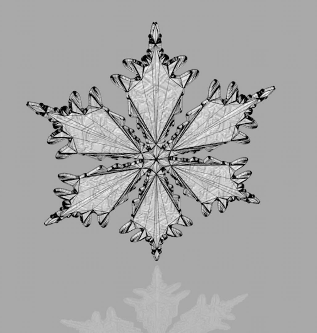 3d Snowflake Snow Flake Model