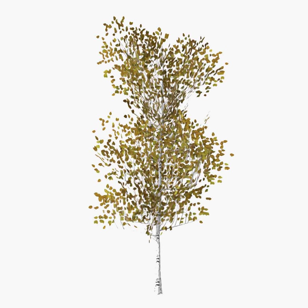 3D pyrus autumn model - TurboSquid 1626017