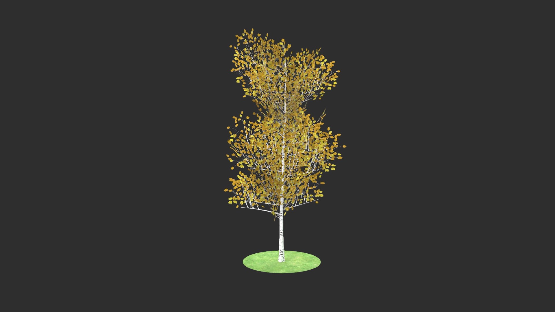 3D Pyrus Autumn Model - TurboSquid 1626017