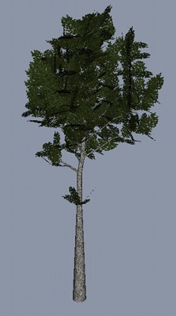 Tree Pack 3d Model