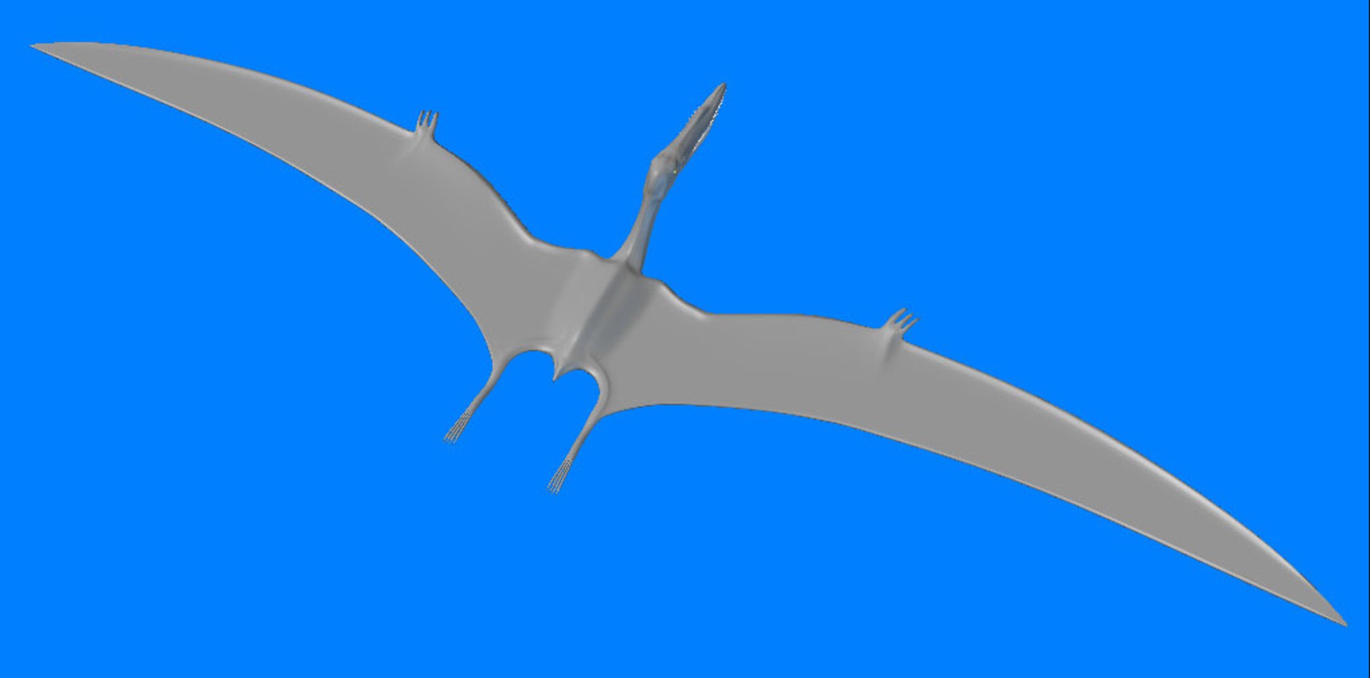 Gnathosaurus Dinosaur 3d Model