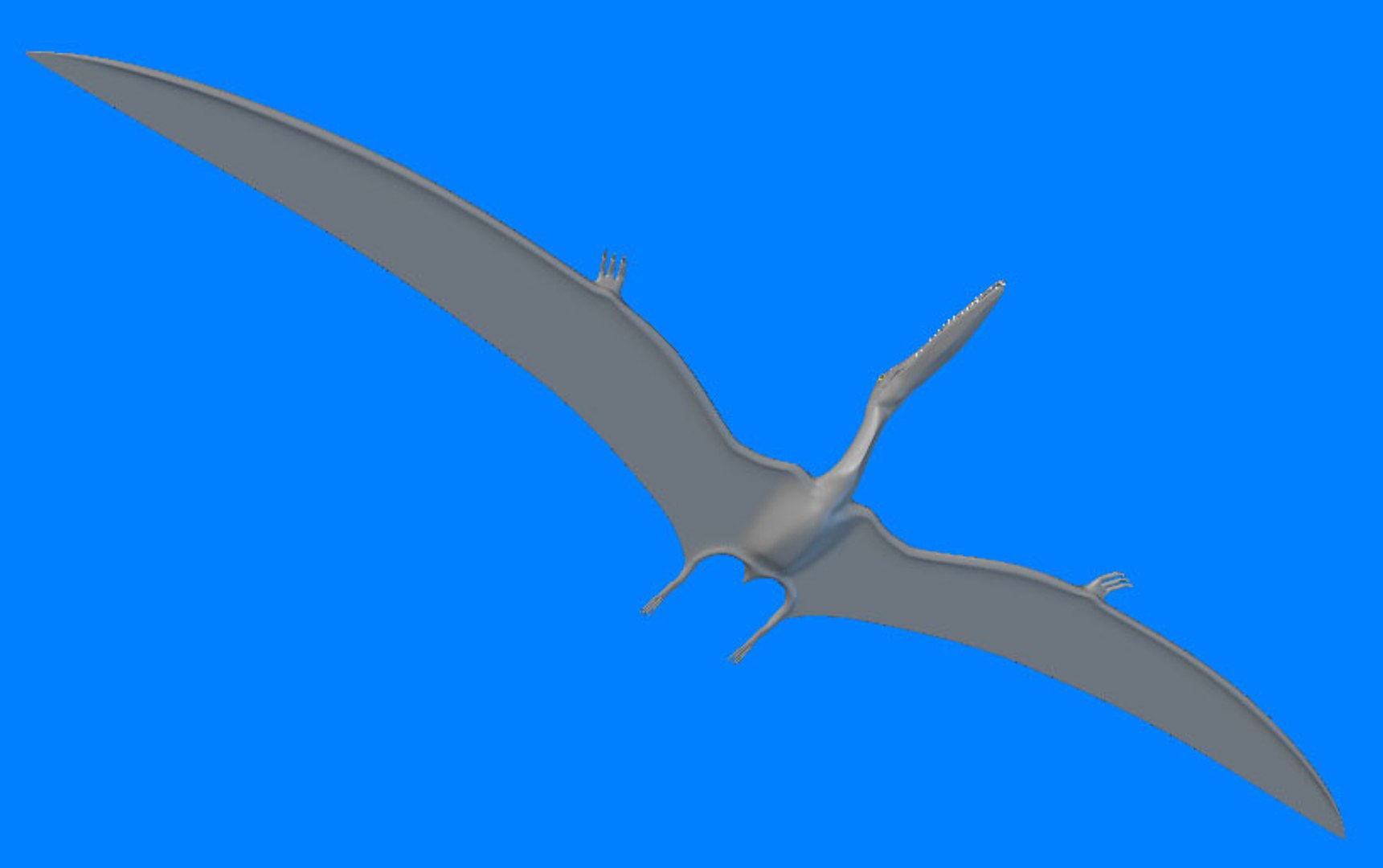 Gnathosaurus Dinosaur 3d Model