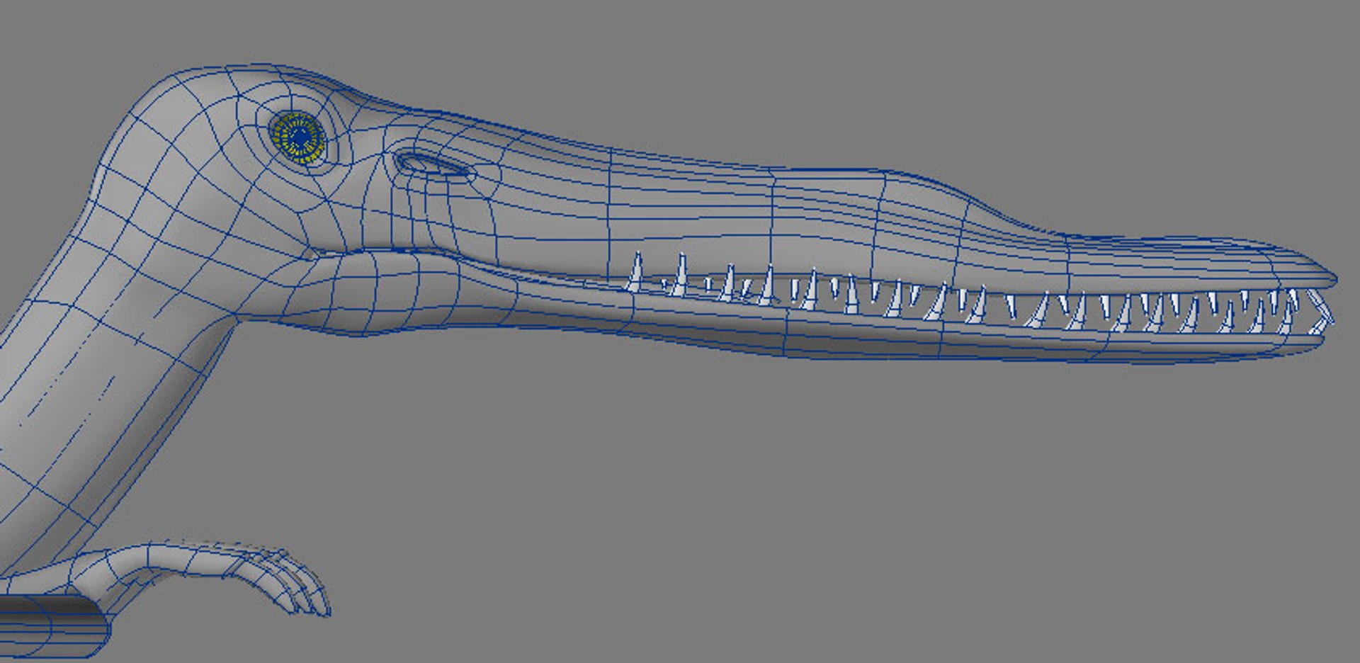 Gnathosaurus Dinosaur 3d Model