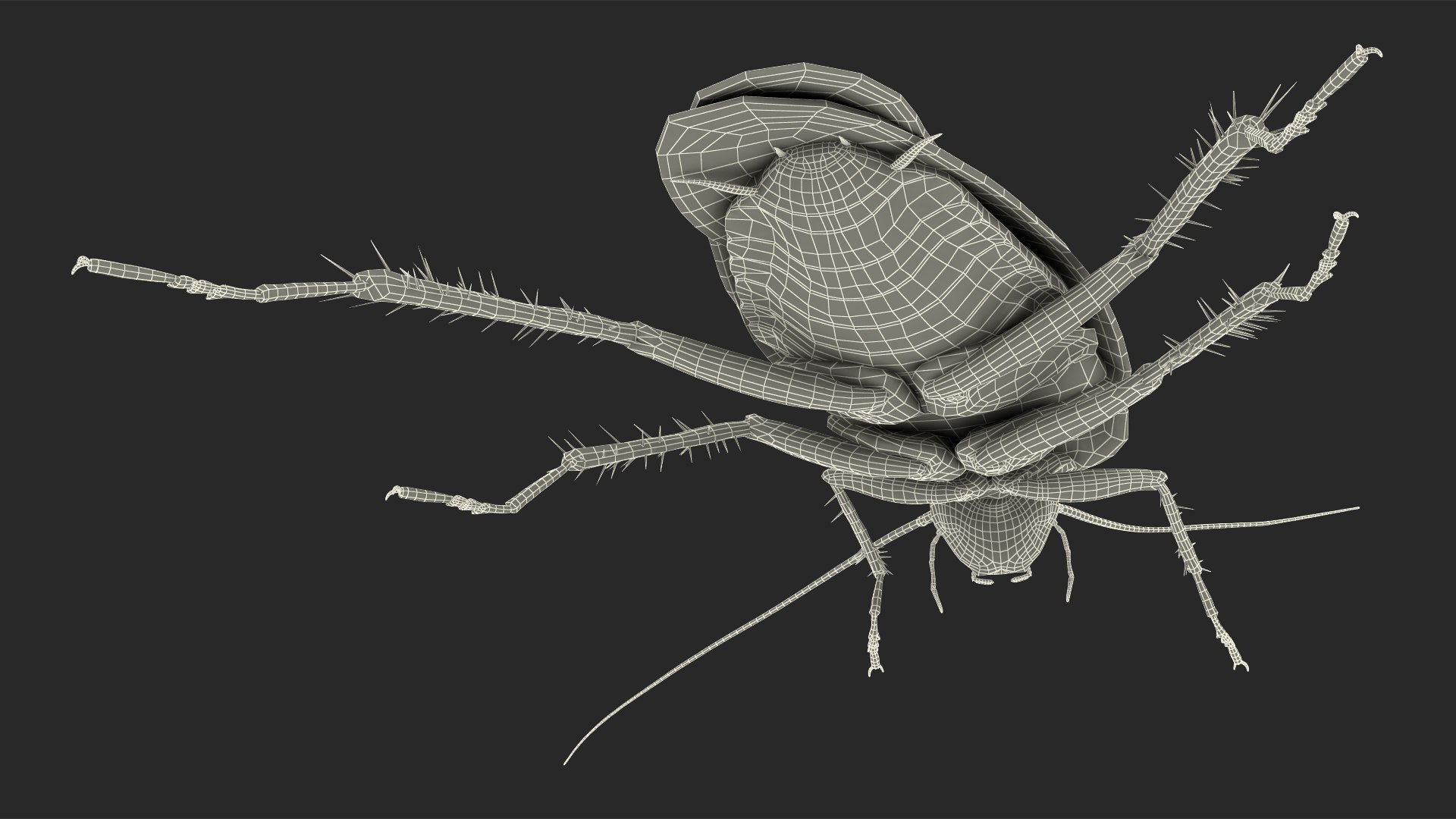 3D Animated Cockroach Spinning Rigged For Maya Model - TurboSquid 2105624