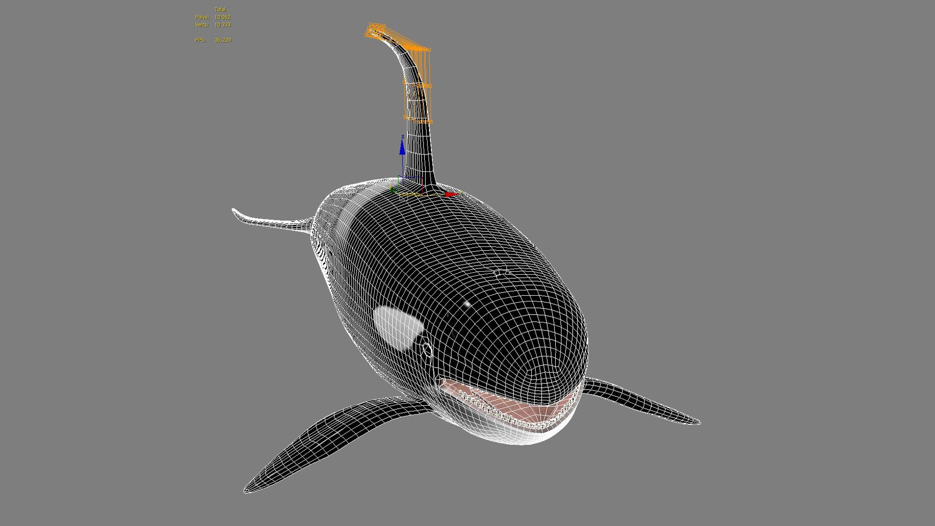 3D Killer whale model - TurboSquid 1728312