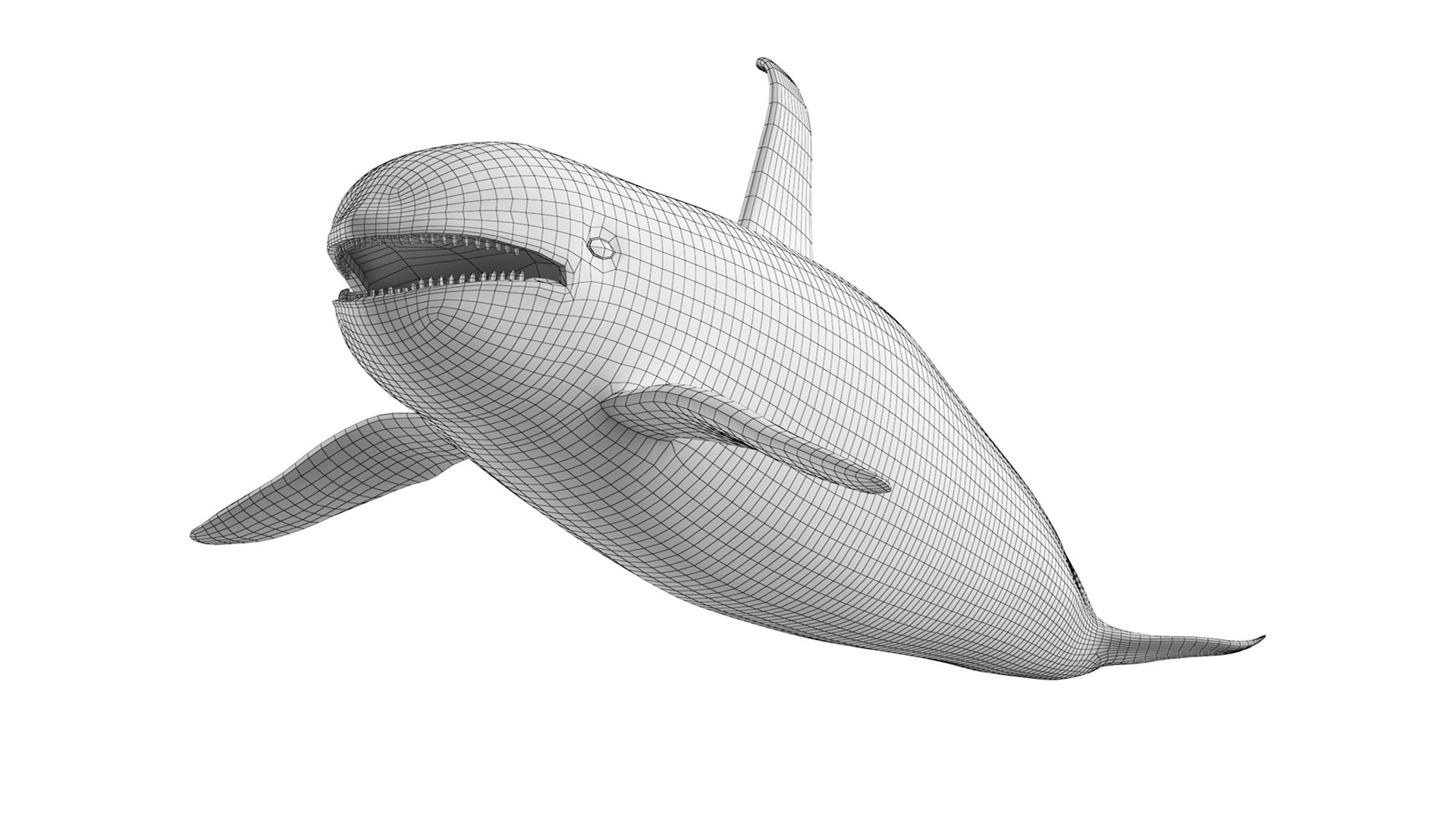 3D Killer whale model - TurboSquid 1728312