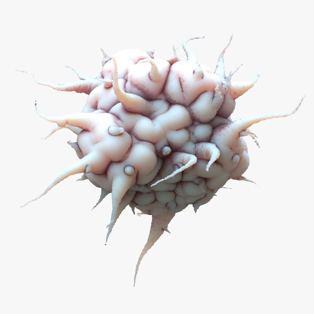 3d Model Cancer Cell Turbosquid 2050499