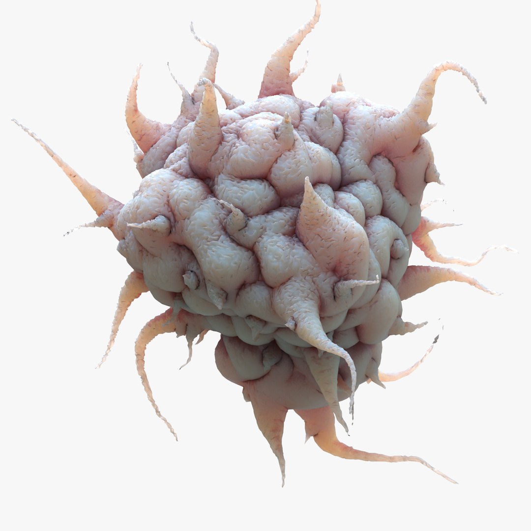 3D Model Cancer Cell - TurboSquid 2050499