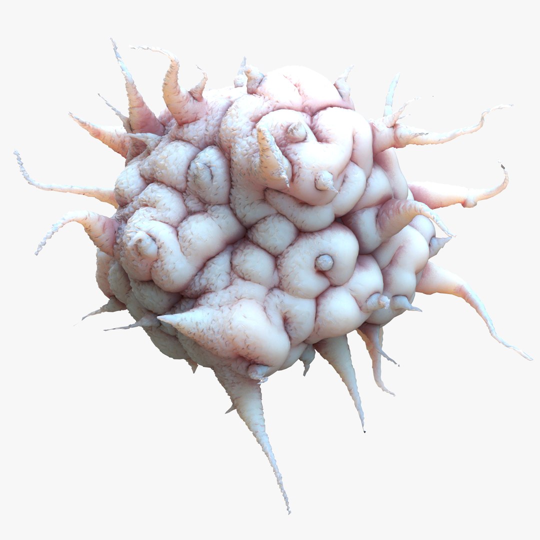3D Model Cancer Cell - TurboSquid 2050499