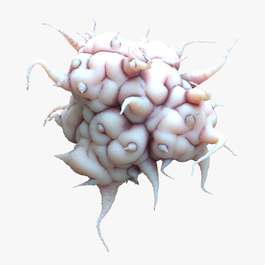 3D Model Cancer Cell - TurboSquid 2050499