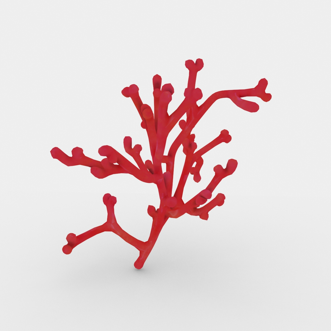 3d Model Coral