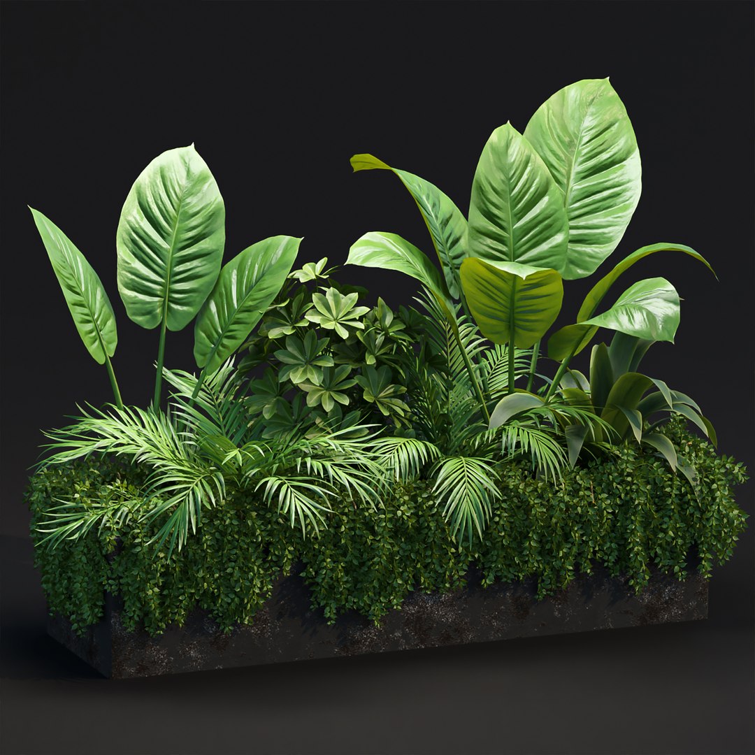 3D Plants Collection Vol 220-Blender-3dmodel Model - TurboSquid 2190680