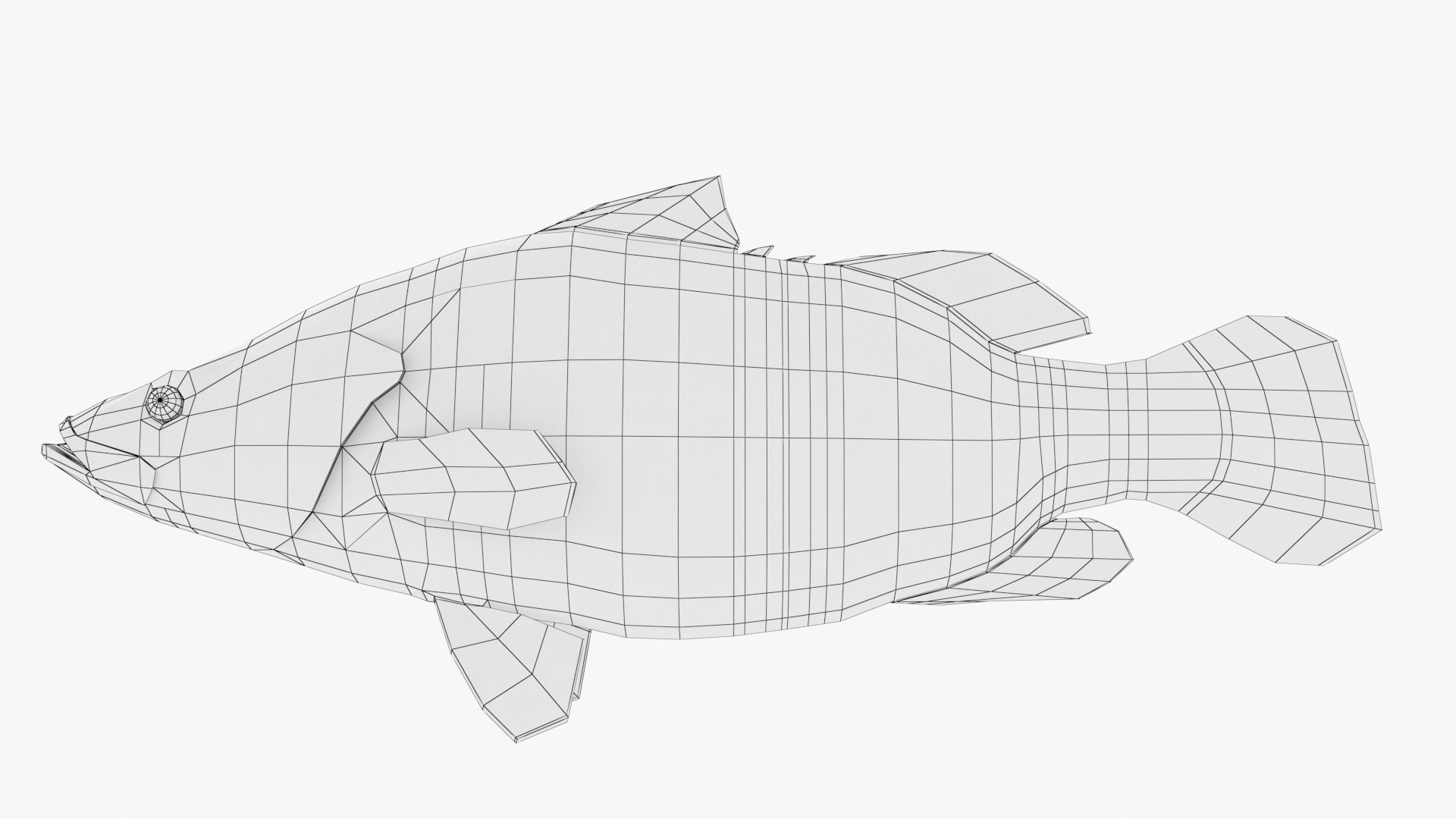 Nile Perch 3D Model - TurboSquid 1895760