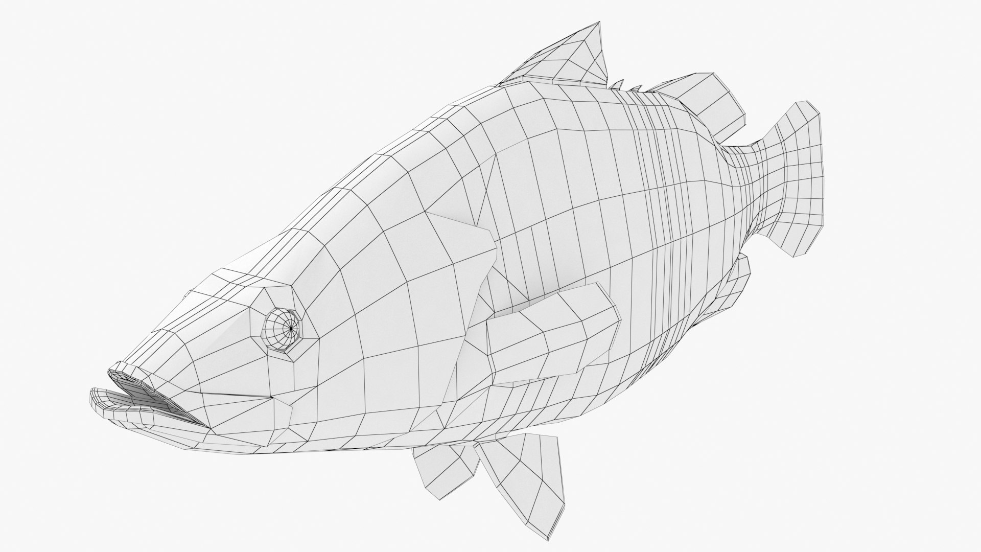 Nile Perch 3D Model - TurboSquid 1895760