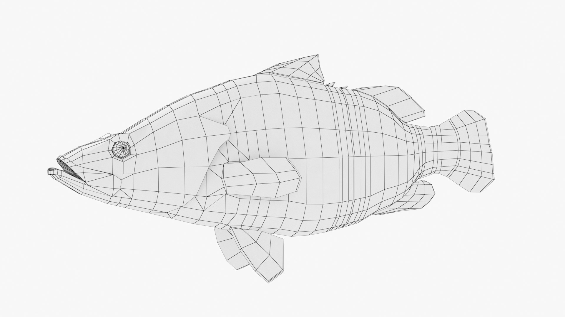 Nile Perch 3D Model - TurboSquid 1895760