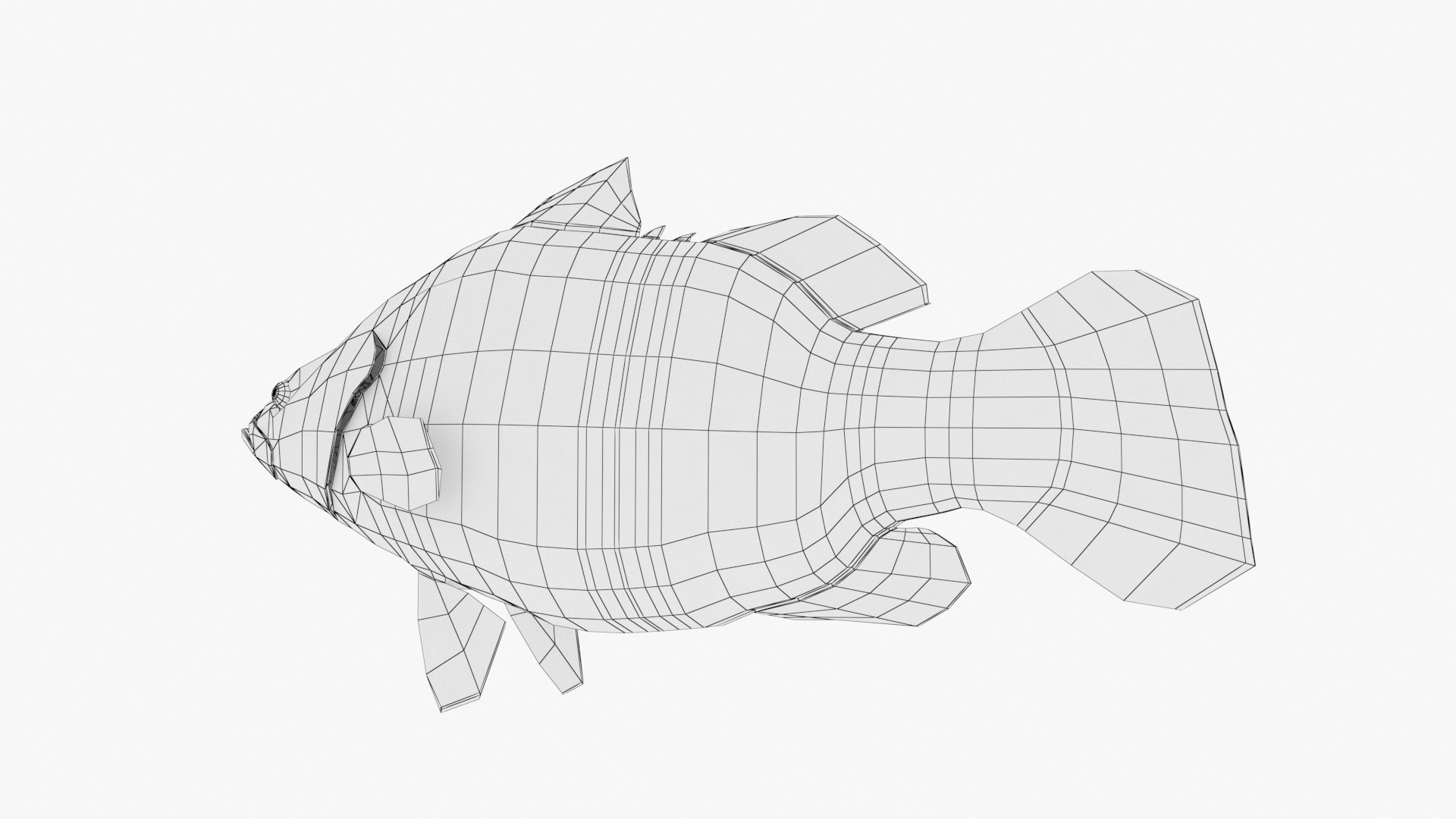 Nile Perch 3D Model - TurboSquid 1895760