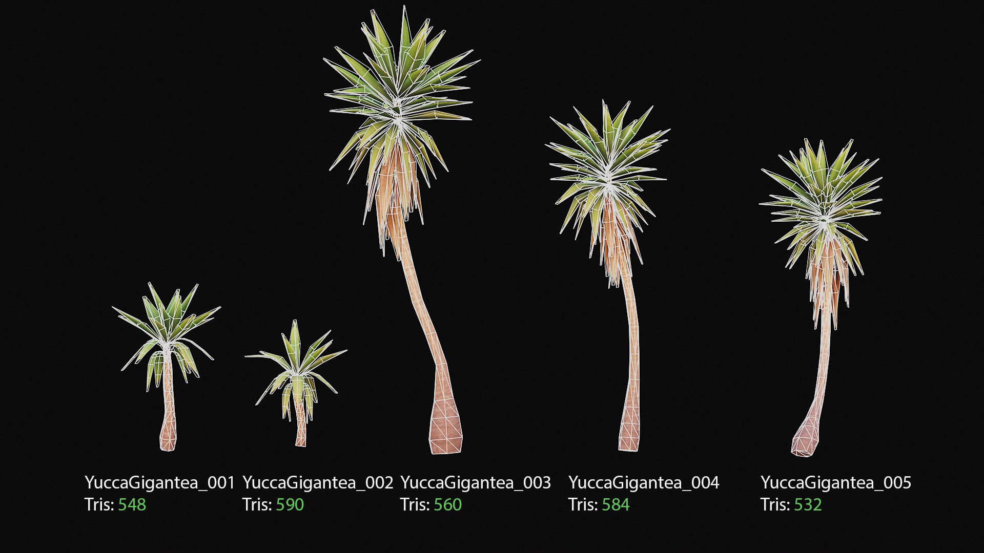 3D Model Yucca Gigantea - TurboSquid 2348782
