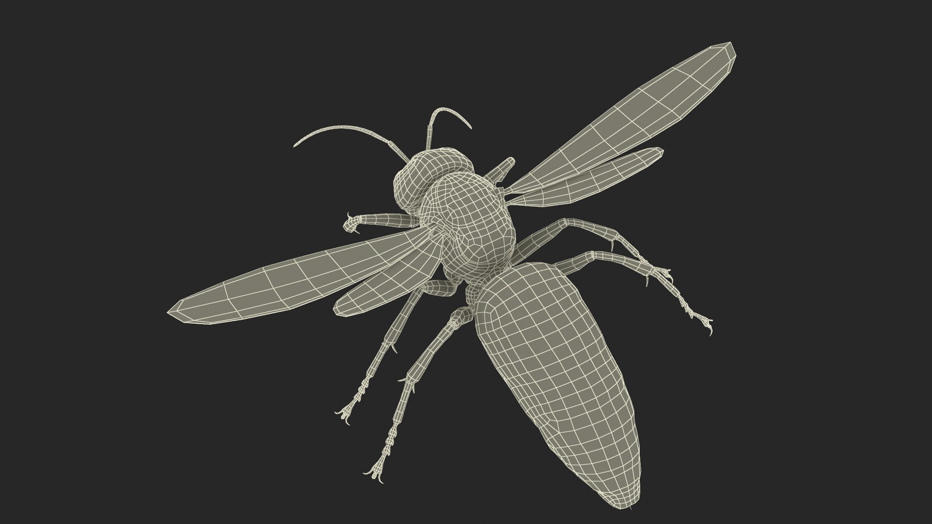 3D Model Giant Asian Hornet Fur Flying Pose - TurboSquid 2273676