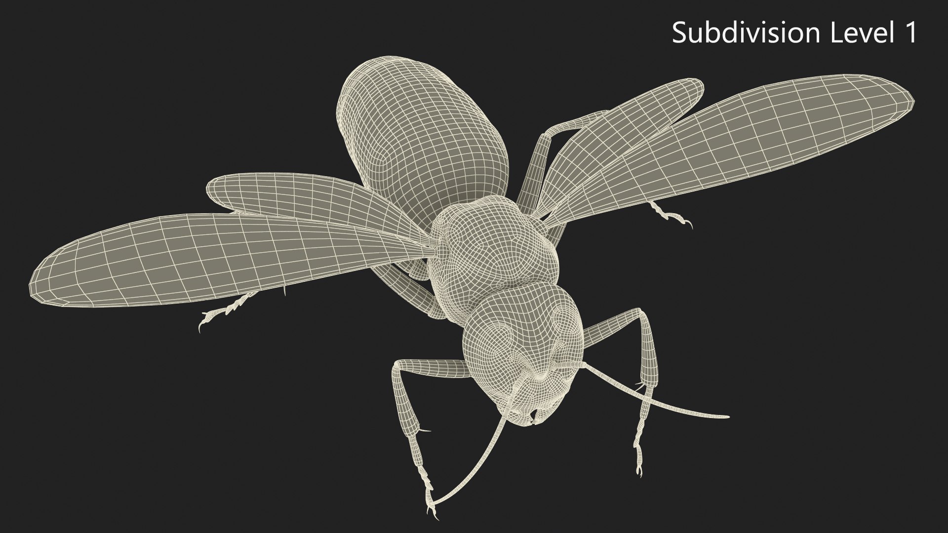 3D Model Giant Asian Hornet Fur Flying Pose - TurboSquid 2273676