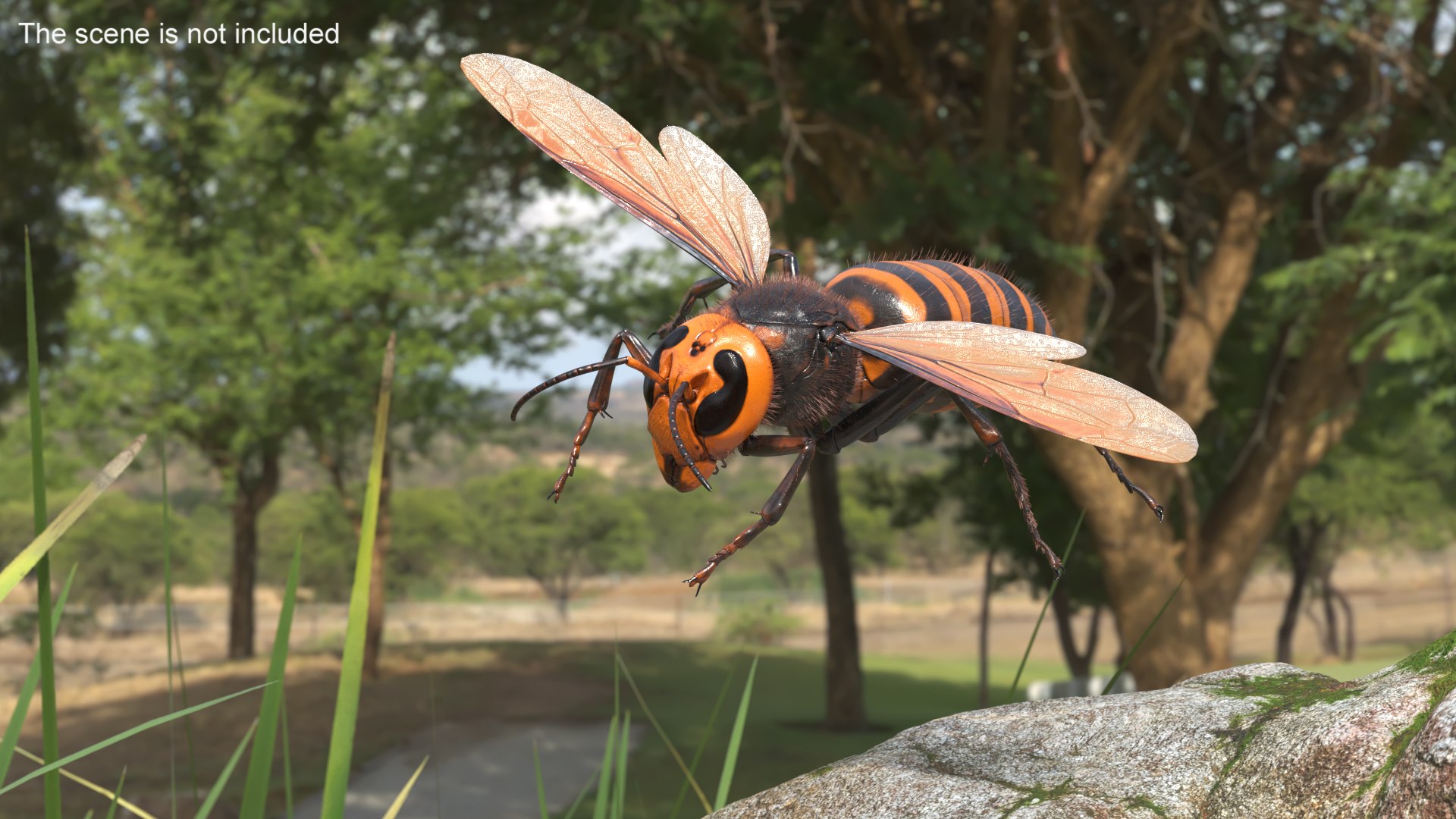 3D Model Giant Asian Hornet Fur Flying Pose - TurboSquid 2273676