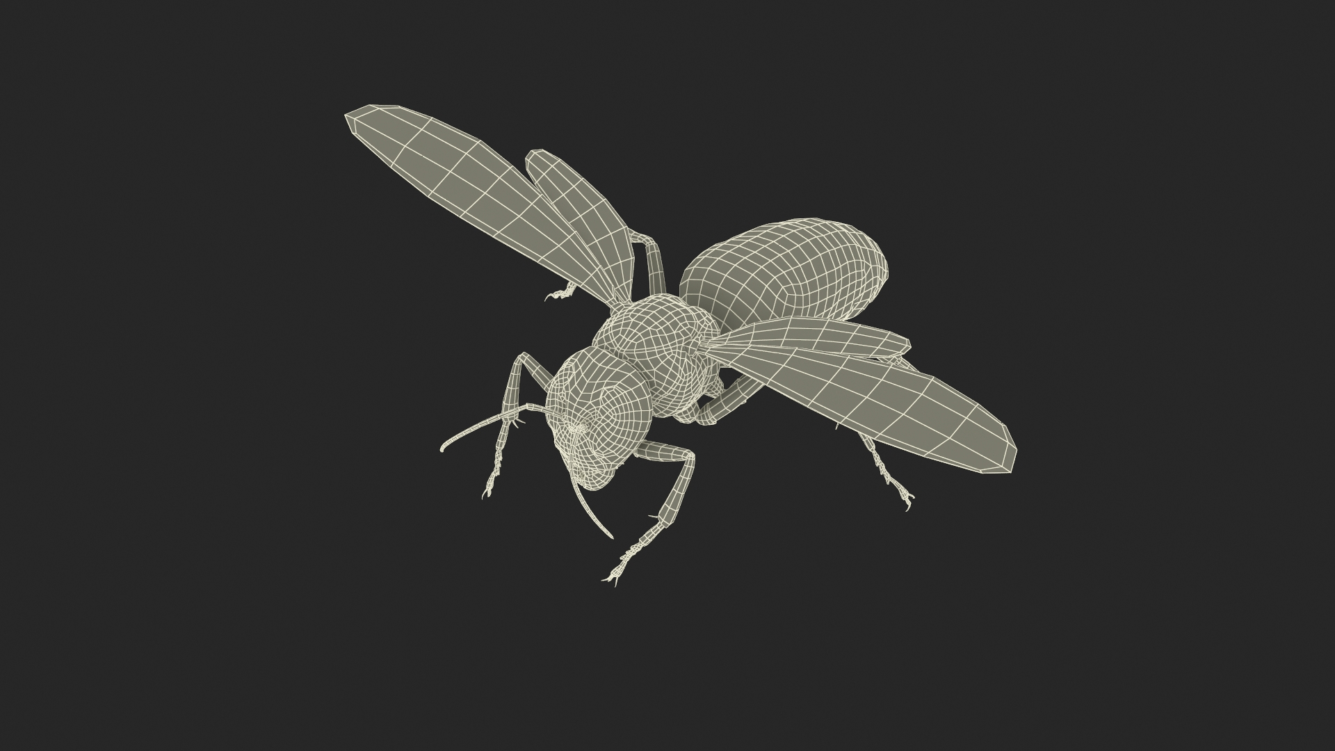 3D Model Giant Asian Hornet Fur Flying Pose - TurboSquid 2273676