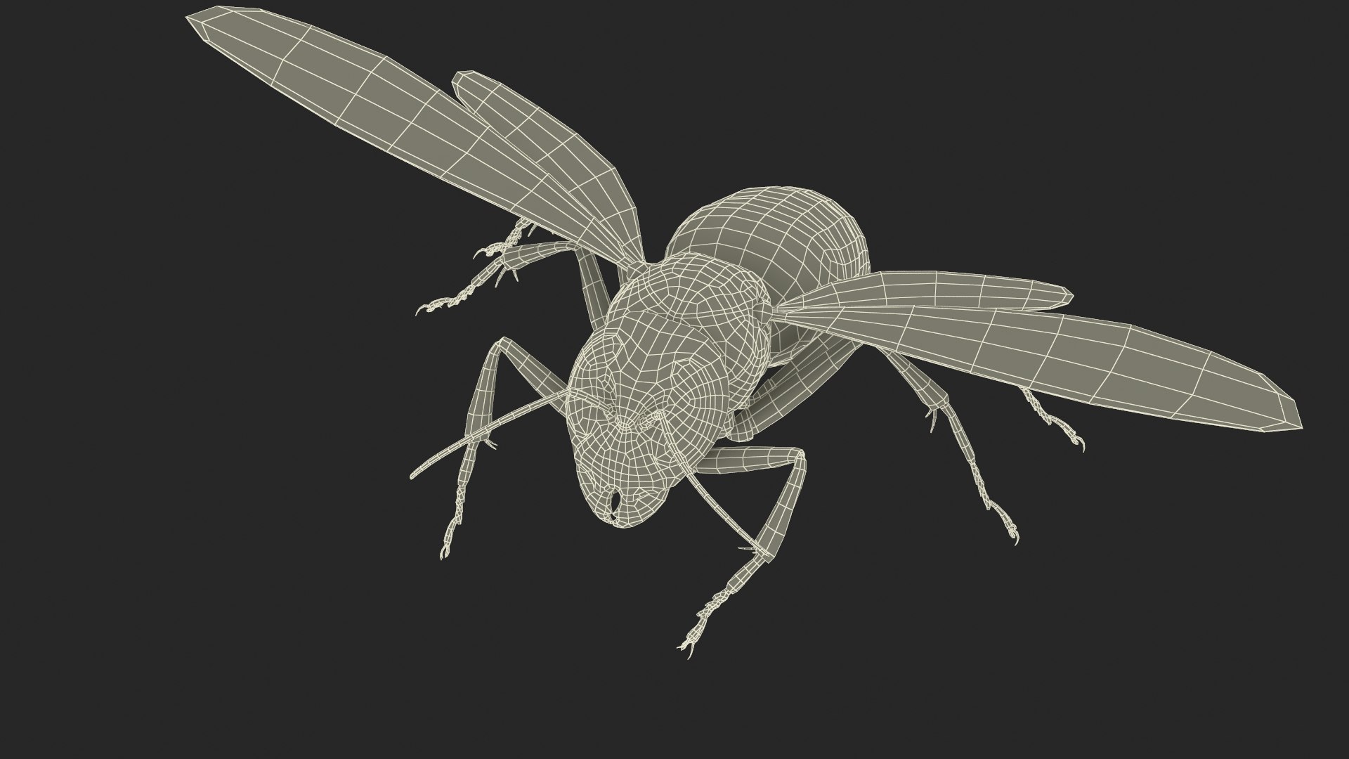 3D Model Giant Asian Hornet Fur Flying Pose - TurboSquid 2273676