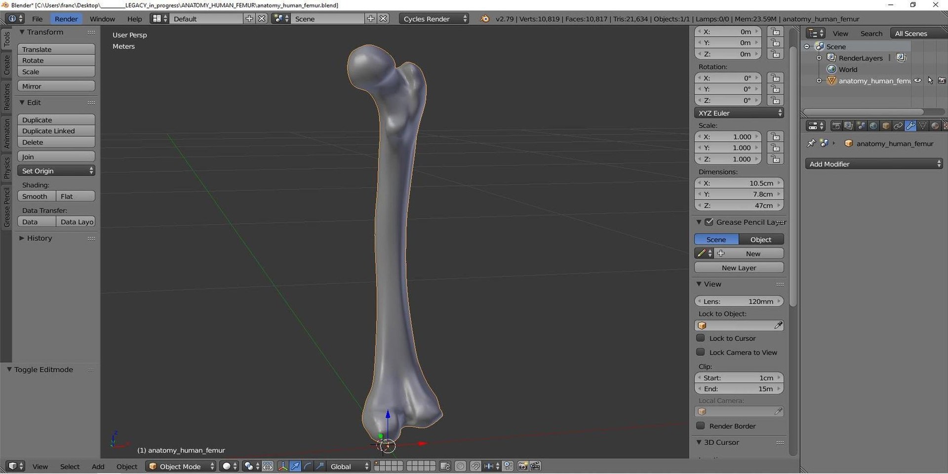 Anatomy - Human Femur 3d Model