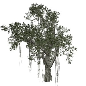 3D Tree Chinese Models - Browse & Download Formats - TurboSquid