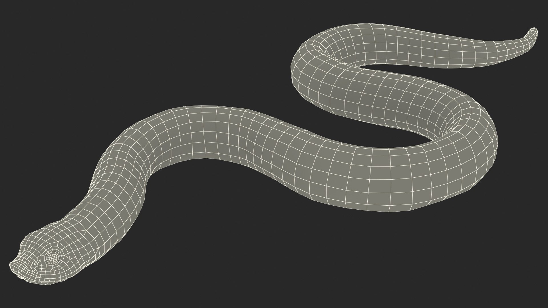 Crawling Brown Hognose Snake 3D - TurboSquid 1475432