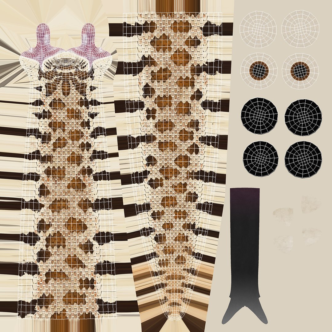 Crawling Brown Hognose Snake 3D - TurboSquid 1475432