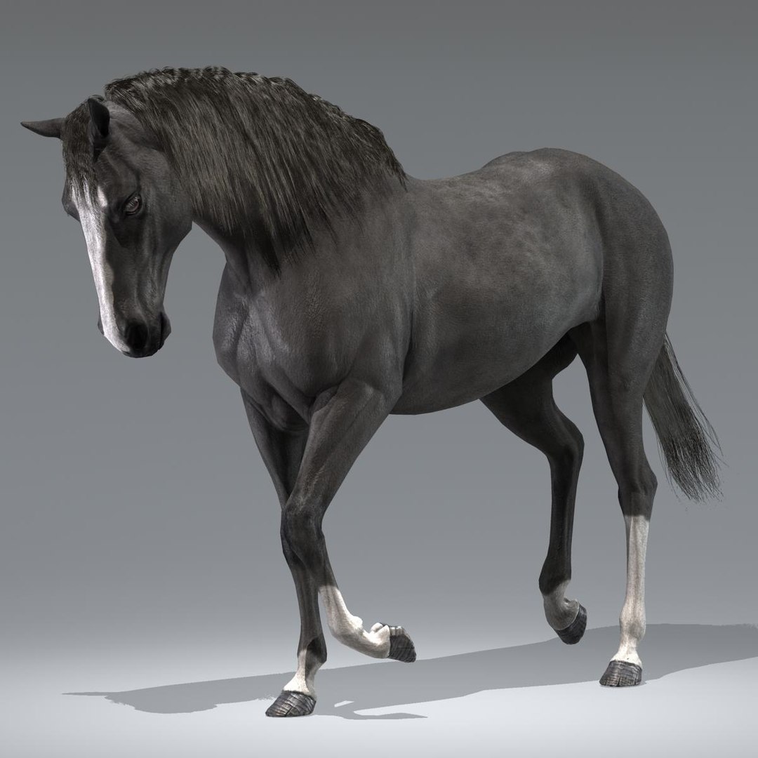 3d model horses