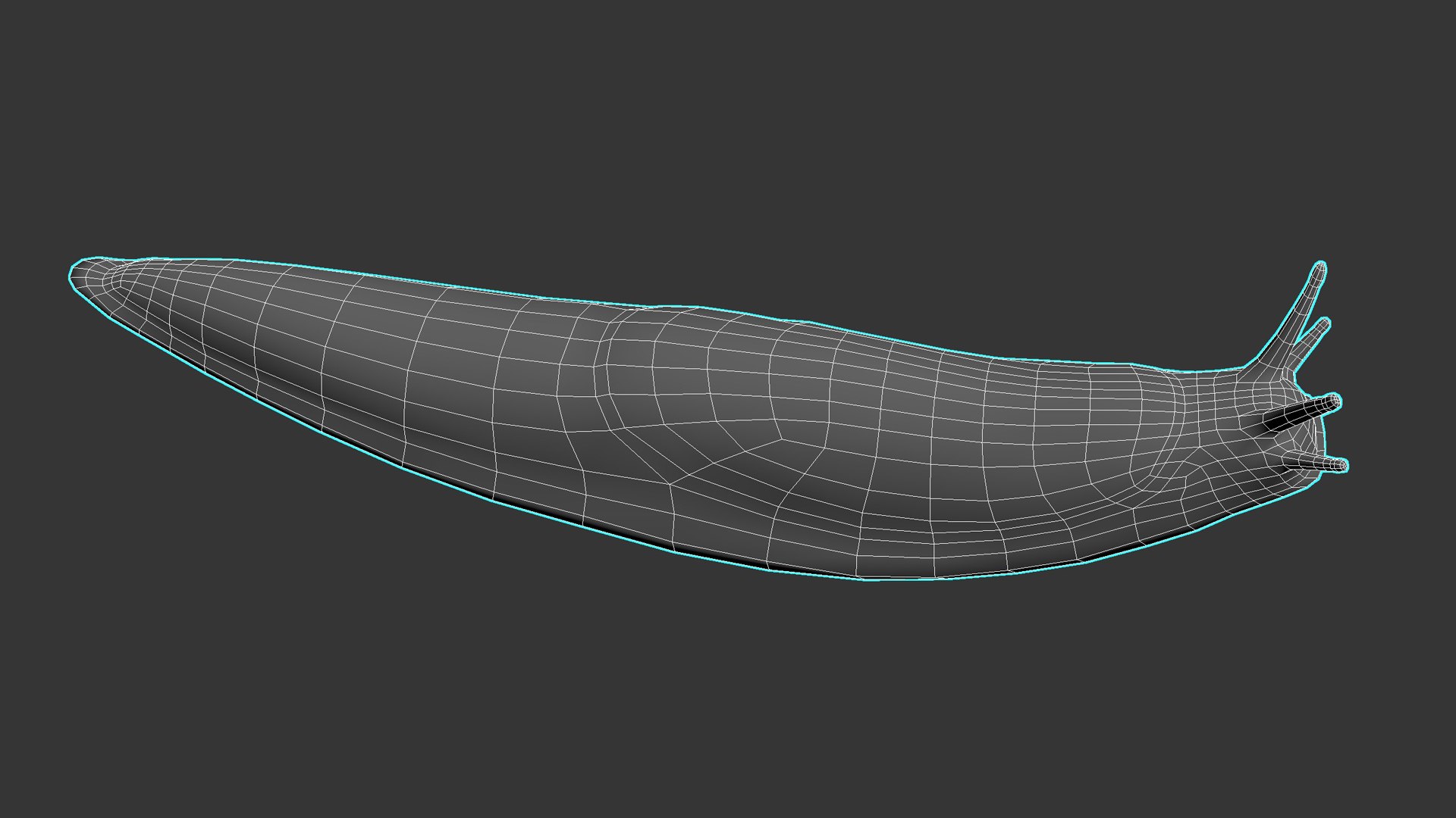 Slug 3D - TurboSquid 2037805