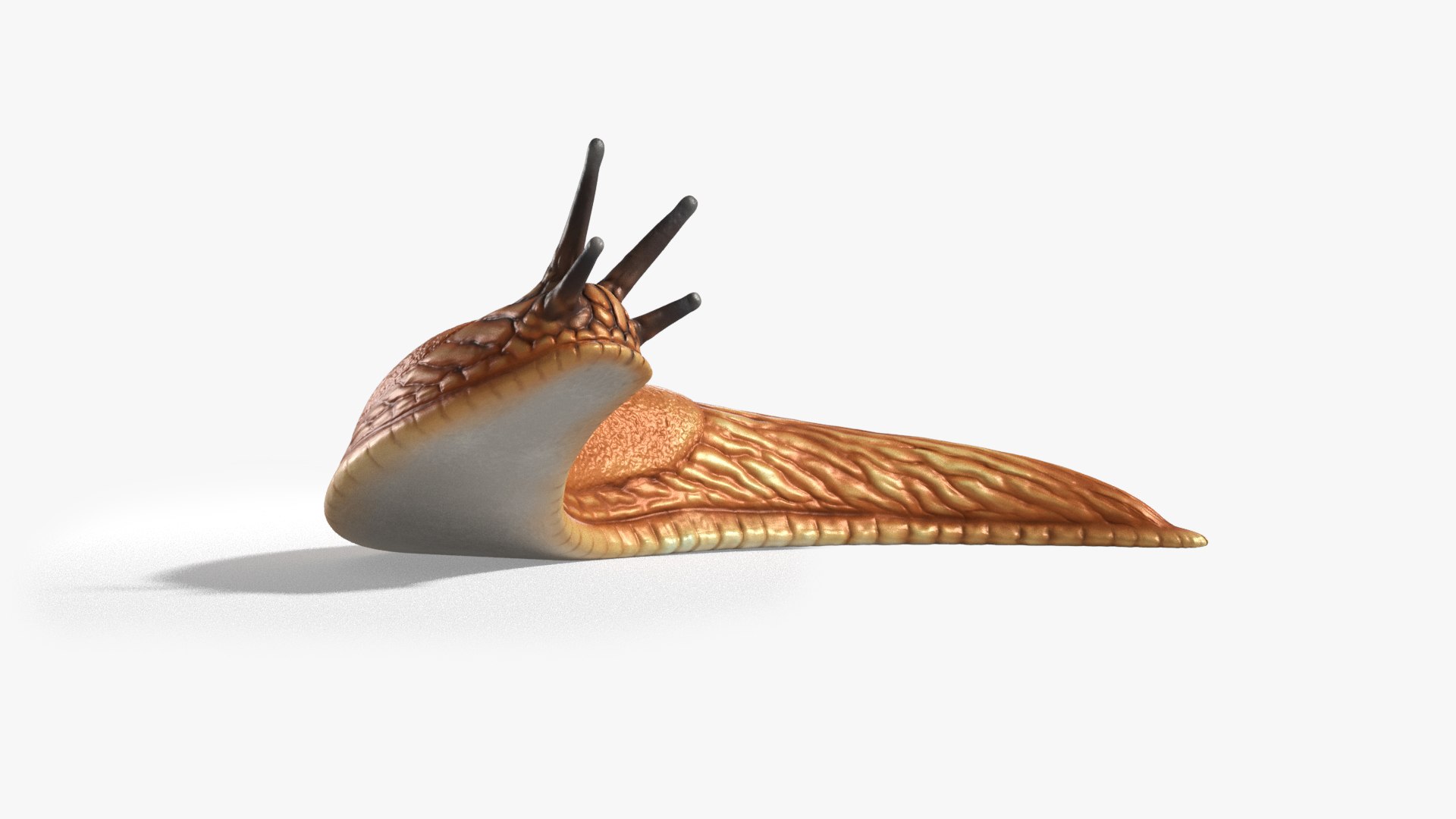 Slug 3D - TurboSquid 2037805