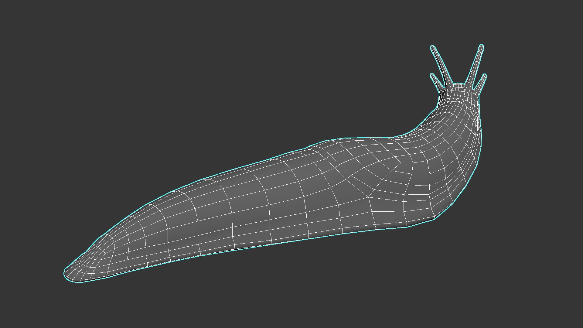 Slug 3D - TurboSquid 2037805
