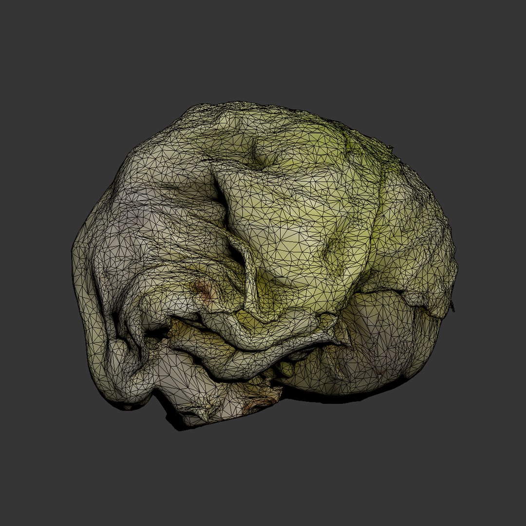 Lettuce 3D Model Vol 01 3D Model - TurboSquid 2458871