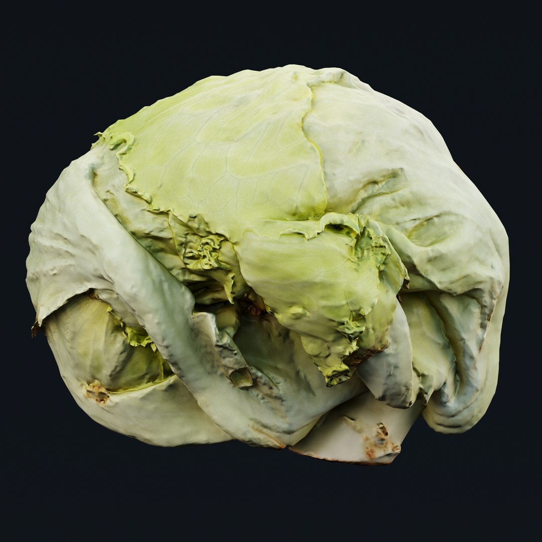 Lettuce 3D Model Vol 01 3D Model - TurboSquid 2458871
