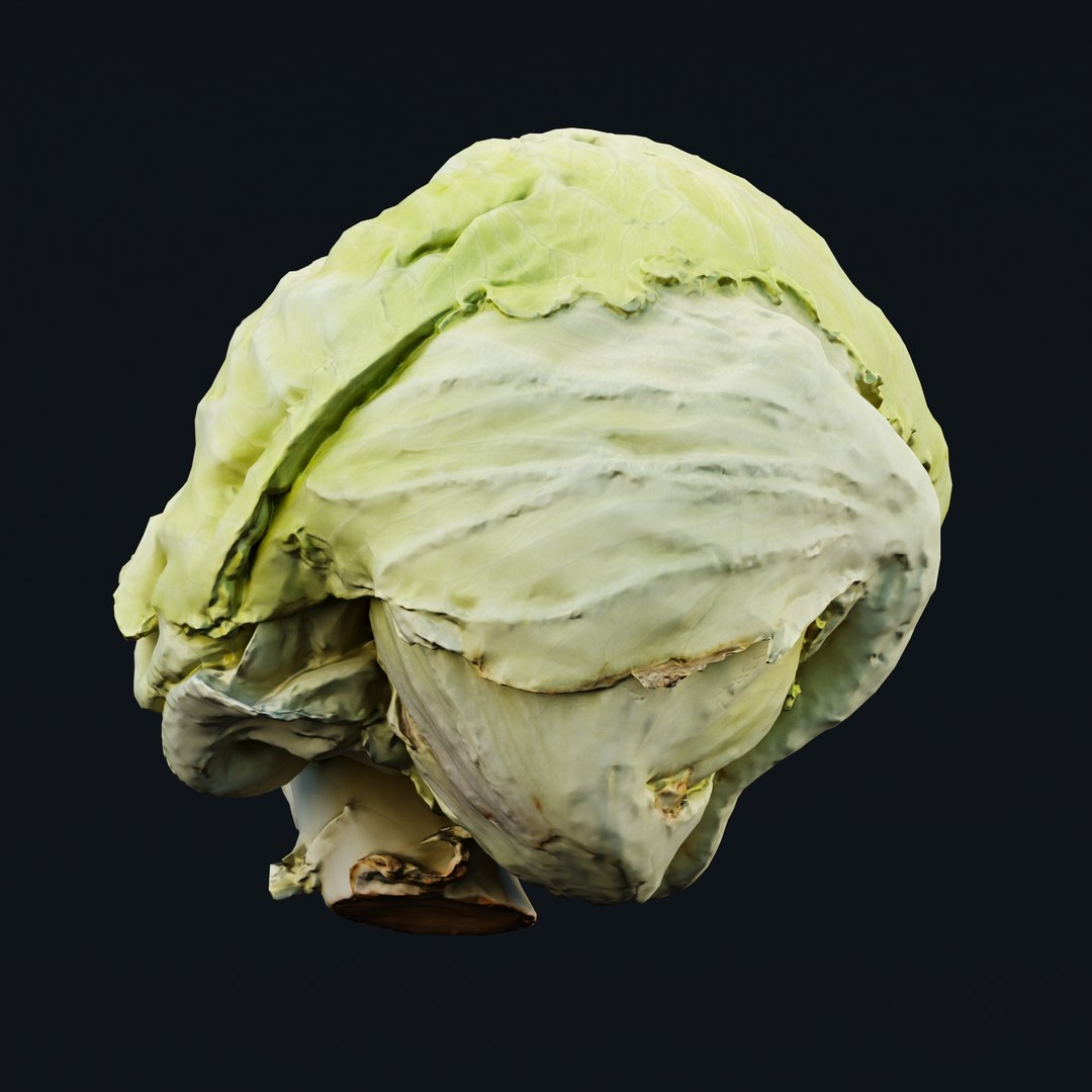 Lettuce 3D Model Vol 01 3D Model - TurboSquid 2458871