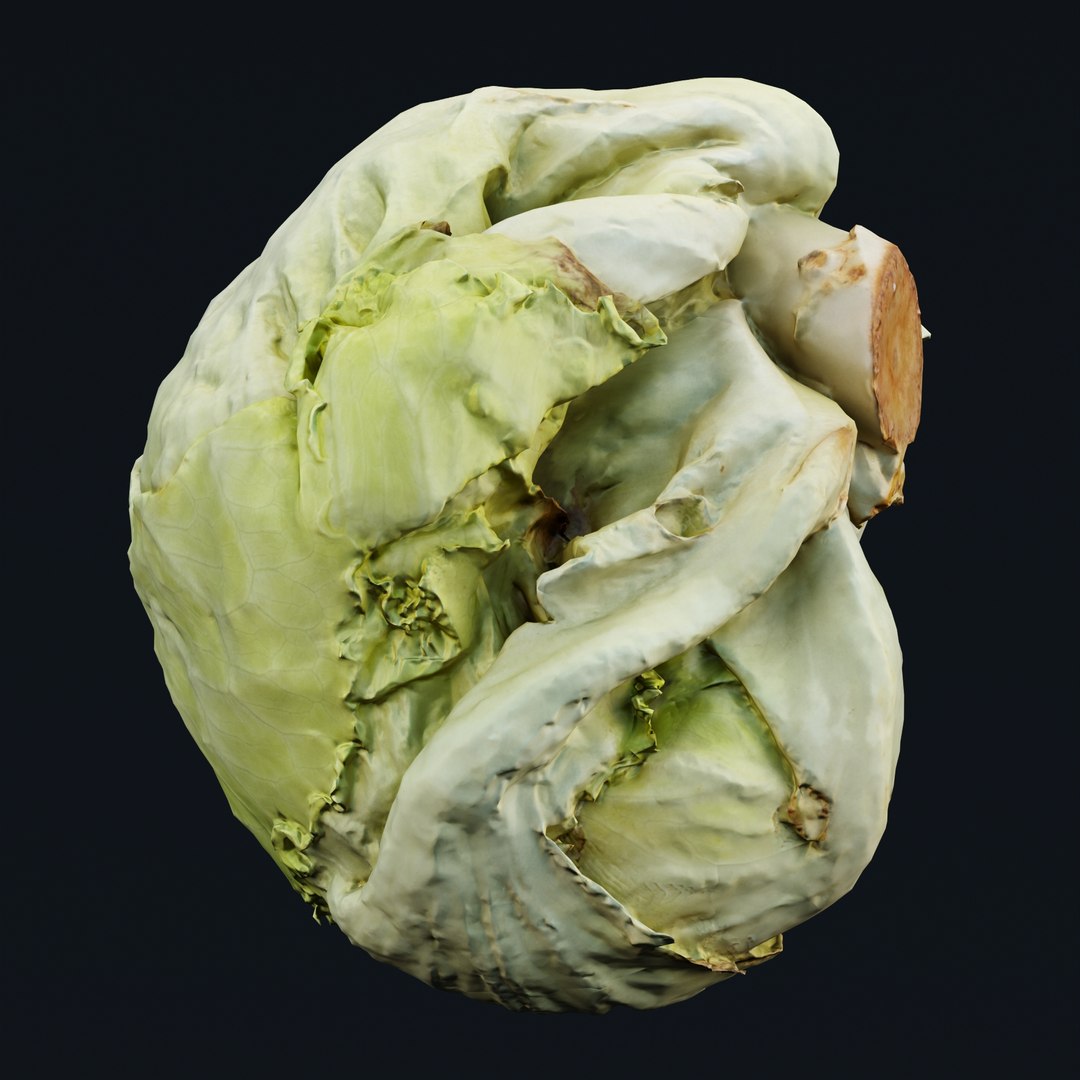 Lettuce 3D Model Vol 01 3D Model - TurboSquid 2458871