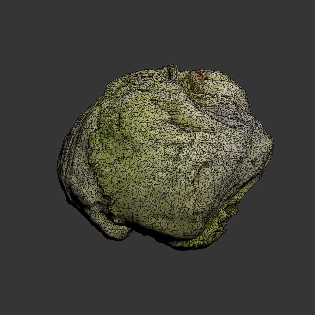 Lettuce 3D Model Vol 01 3D Model - TurboSquid 2458871