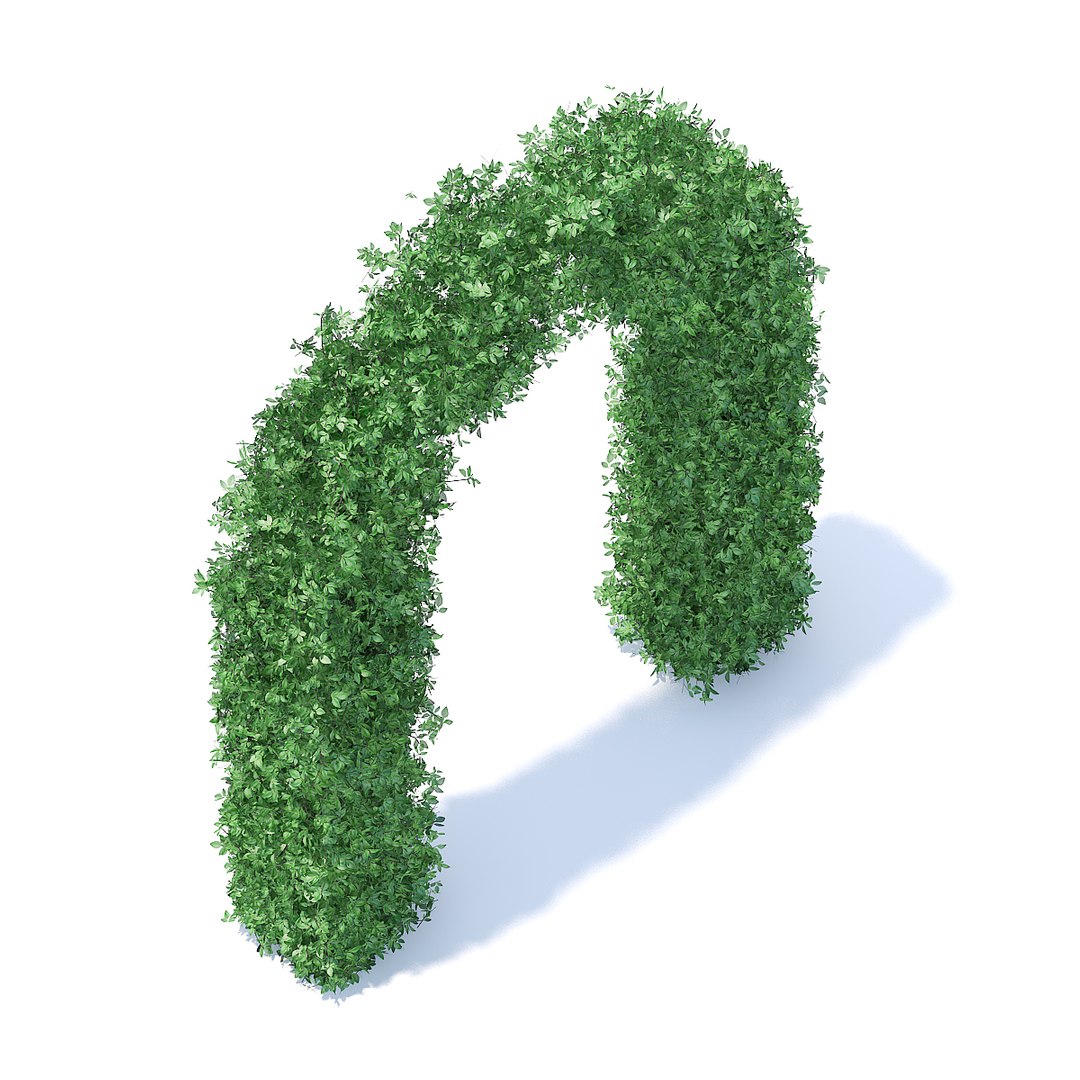 Arc shaped hedge 3D model - TurboSquid 1220802