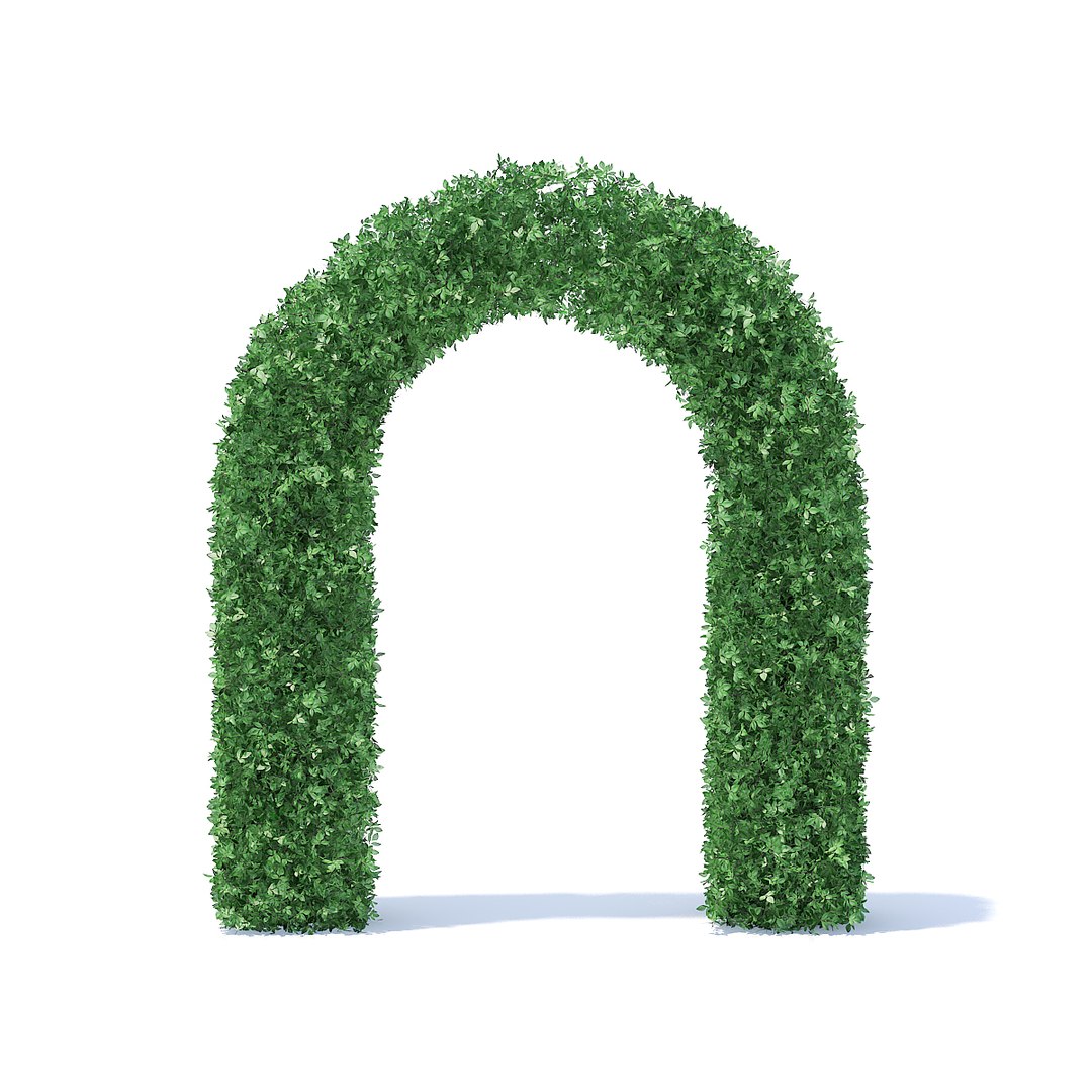 Arc shaped hedge 3D model - TurboSquid 1220802