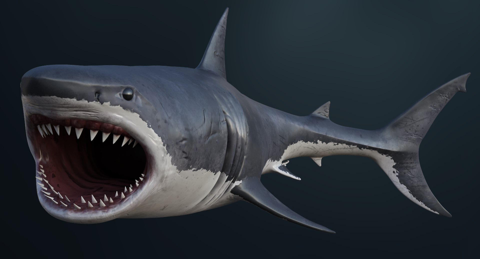 3D Realistic Great White Shark Model - TurboSquid 1215328