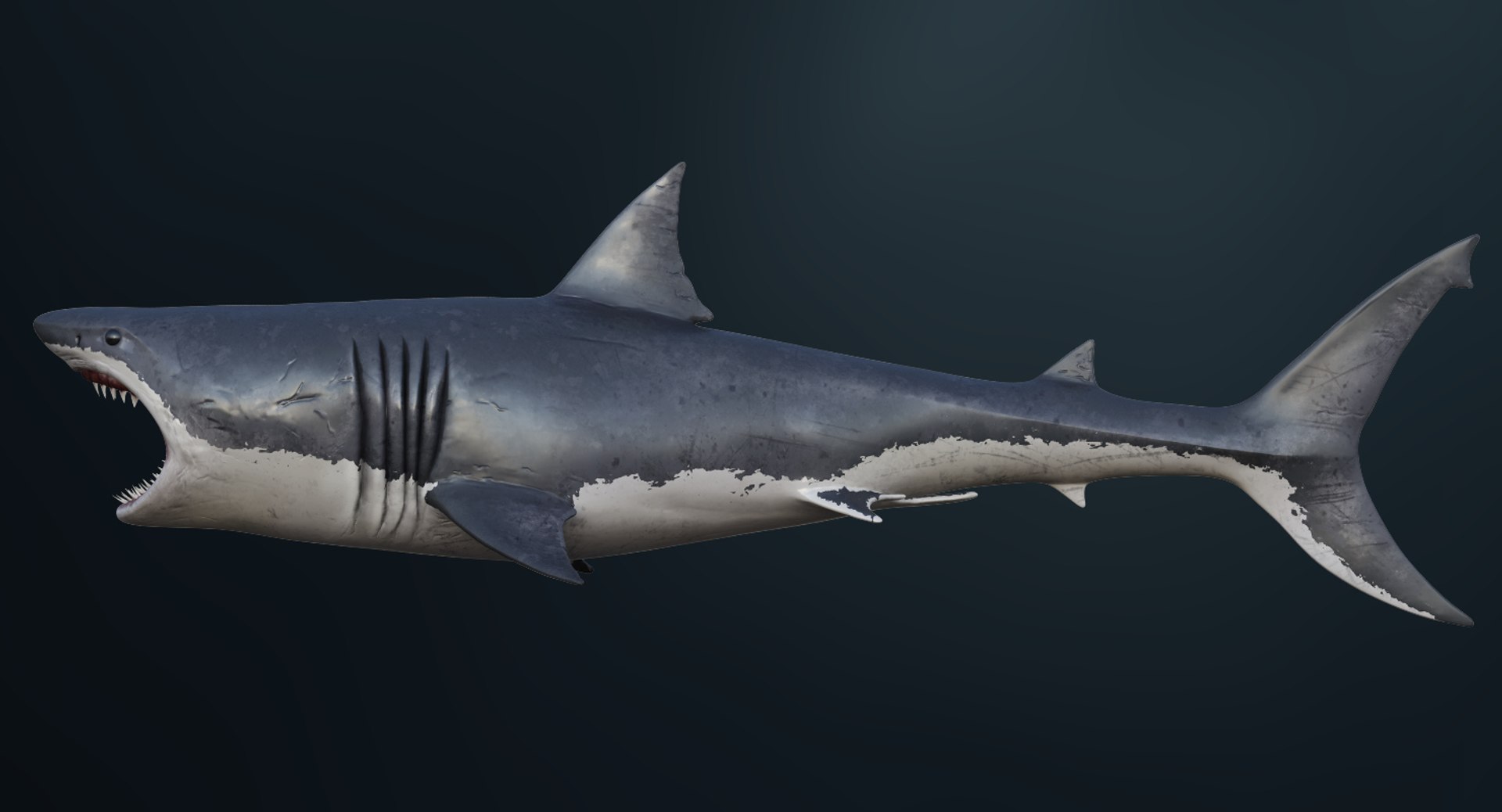 3D Realistic Great White Shark Model - TurboSquid 1215328